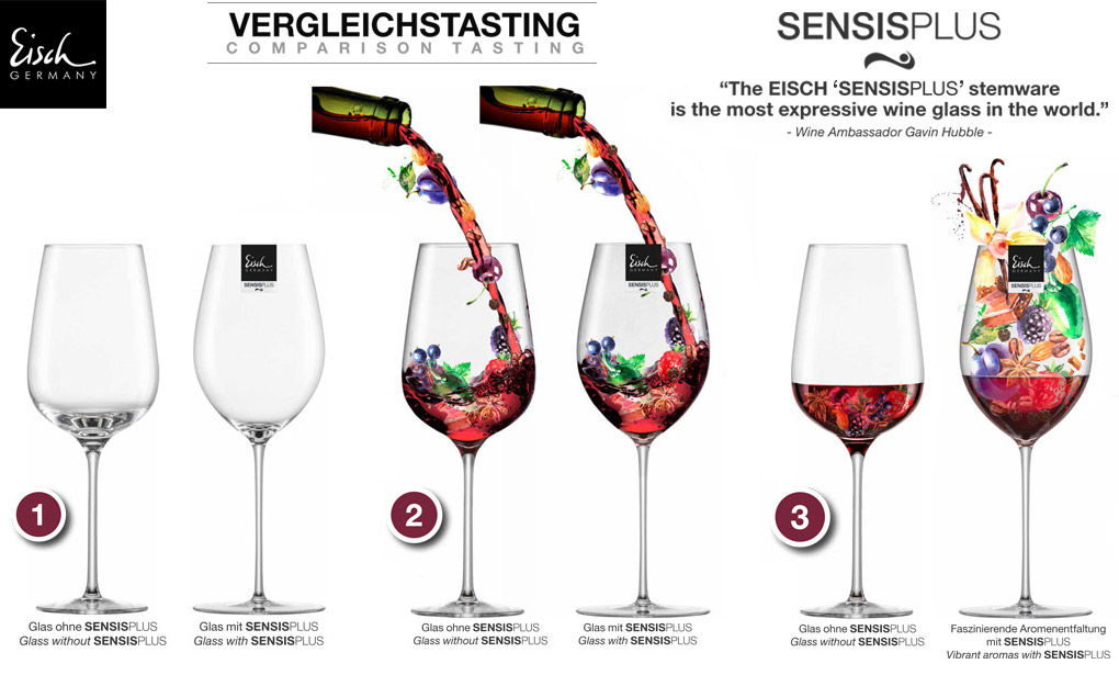 Wine Glass Insights – Grape to Glass