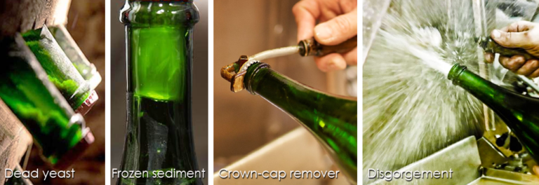 Champagne – Grape to Glass