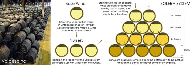 SHERRY – Grape to Glass