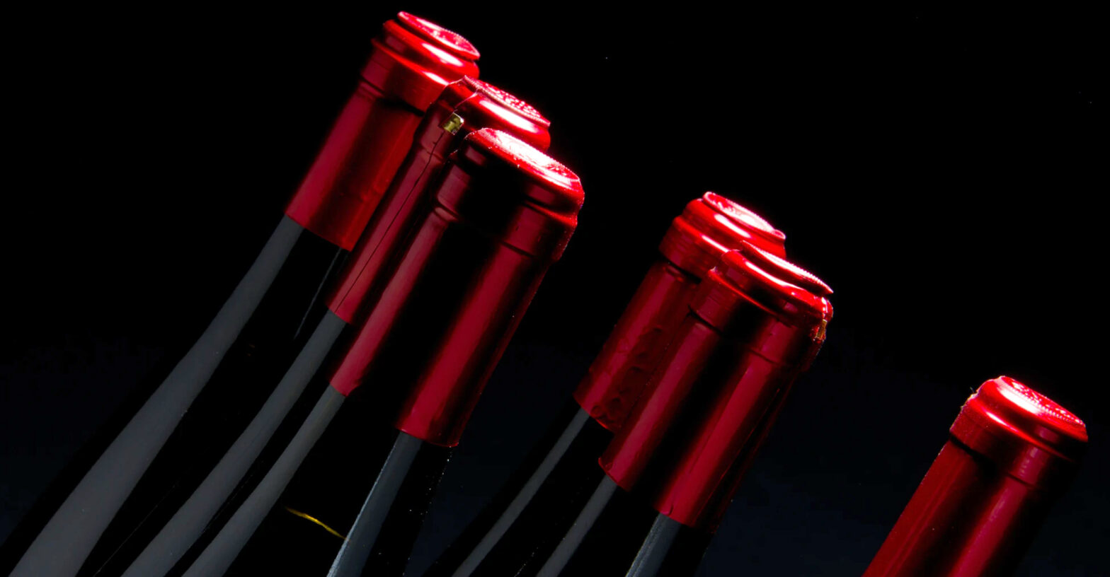 The difference between Syrah & Shiraz – Grape to Glass
