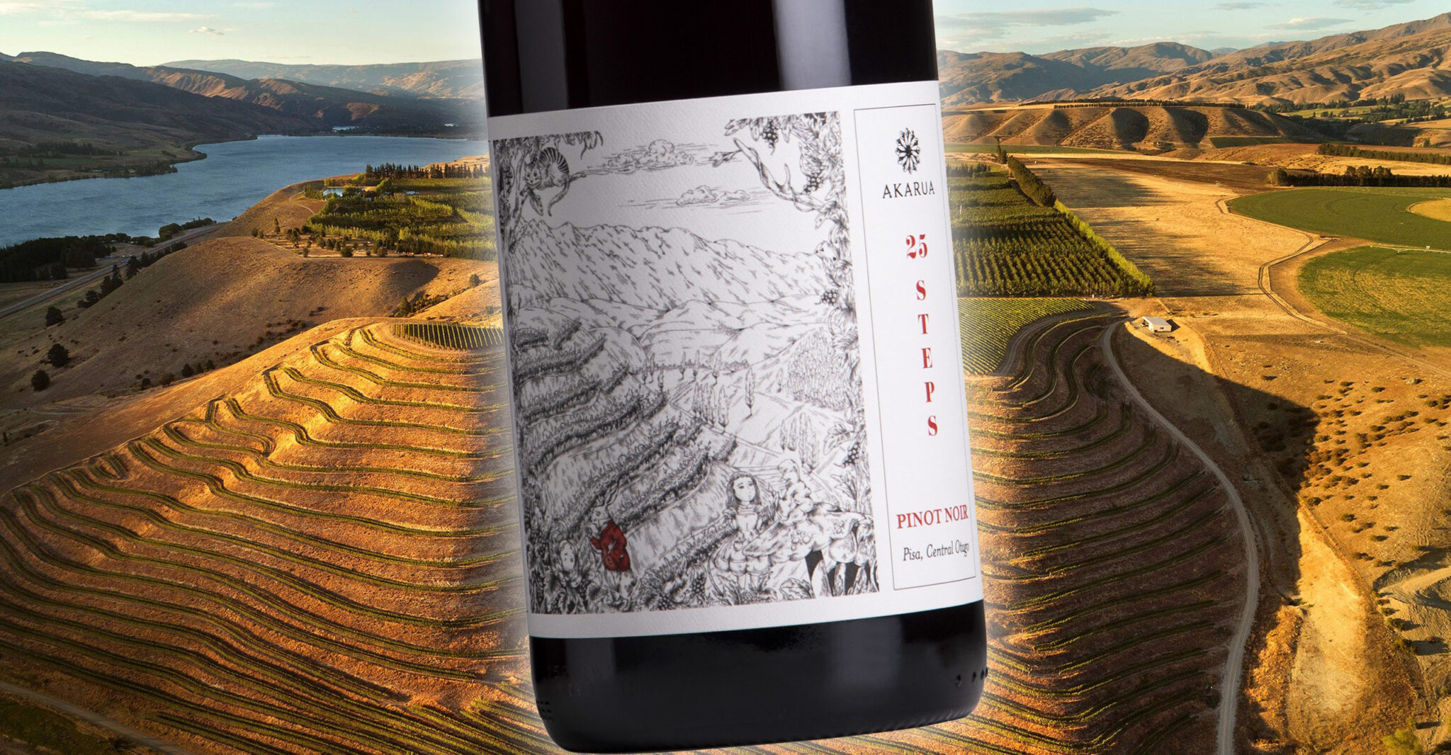 Elegant Pinot Noir, with a vibrant appealing character – Grape to Glass