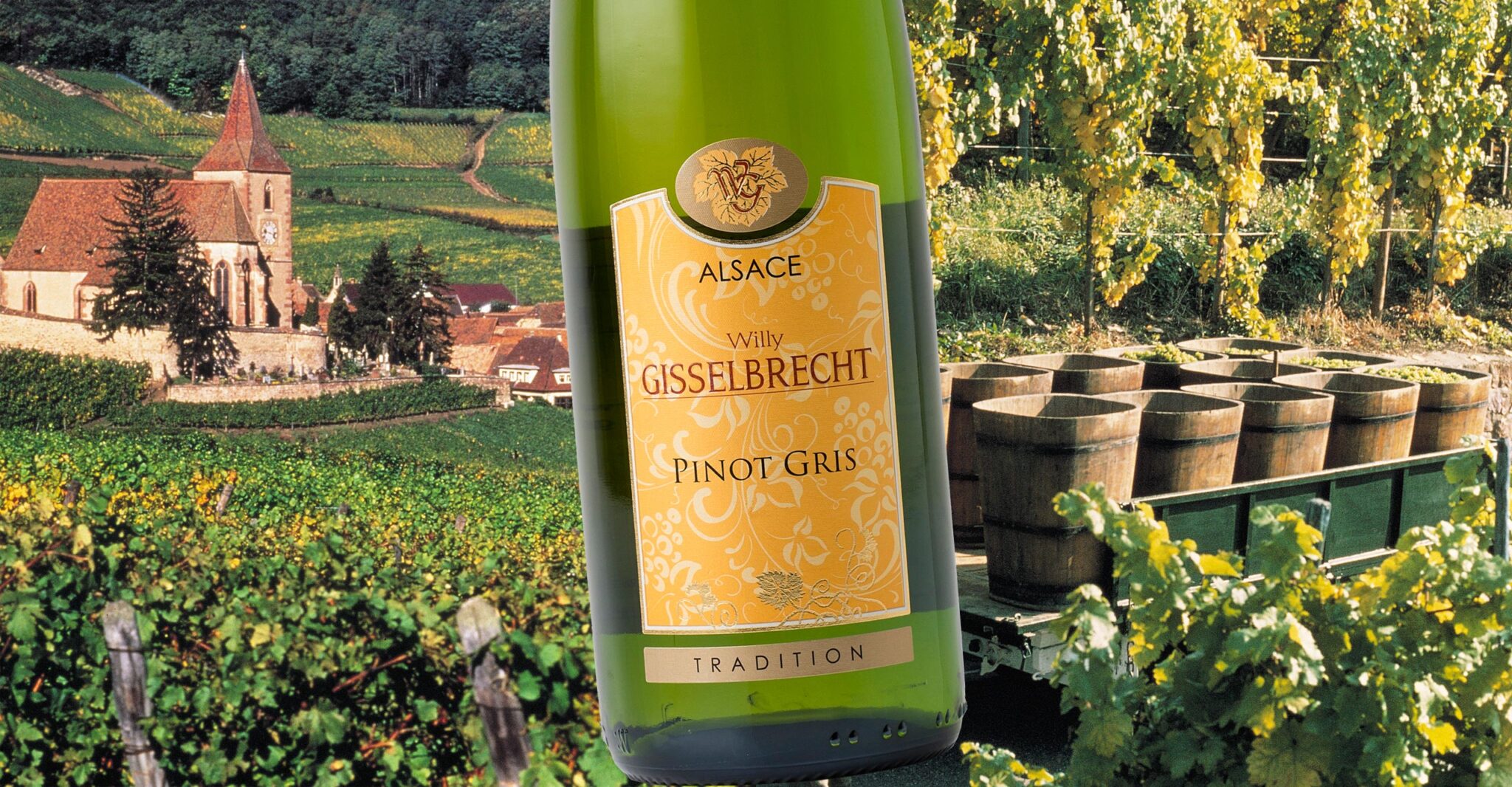 Classic Alsatian Pinot Gris, showcasing typicity and more… – Grape to Glass