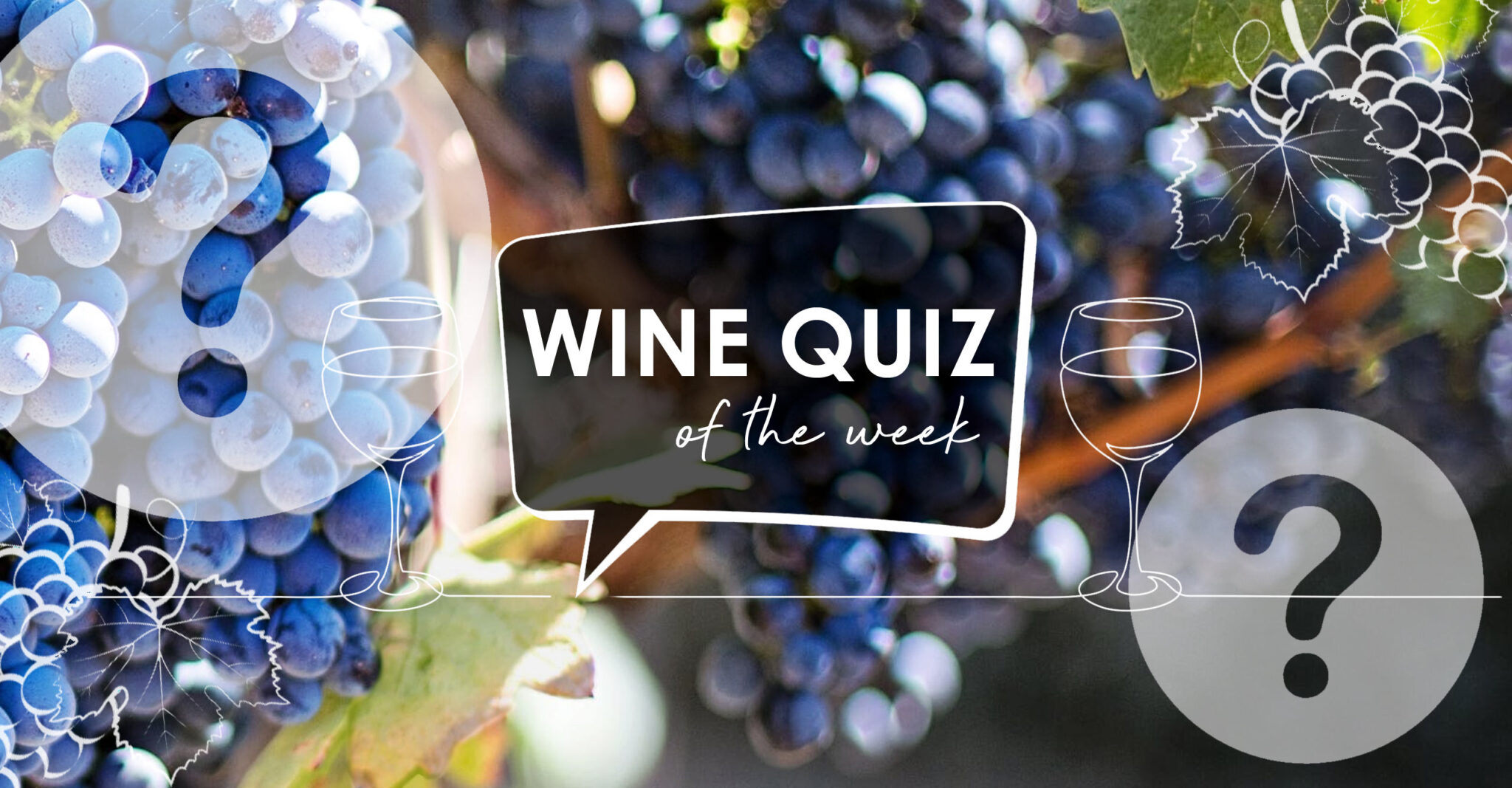 Wine Quiz – Tempranillo – Grape to Glass