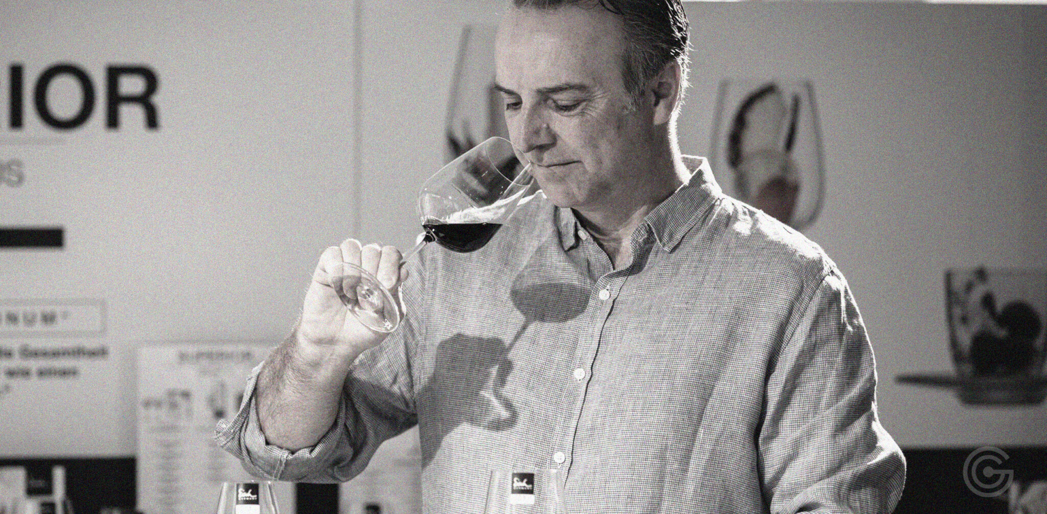 Recent Wine Articles – Grape to Glass